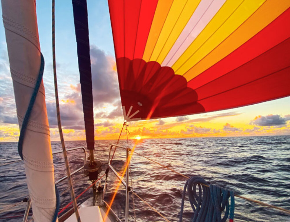 Design your sail: New Gennaker & Spinnaker Wizard - Rolly Tasker