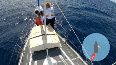 Video guide on how to sail a asymmetrical spinnaker