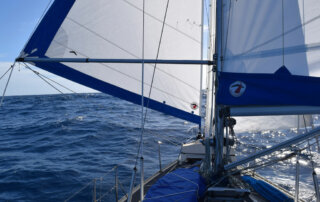 About Sails - Rolly Tasker