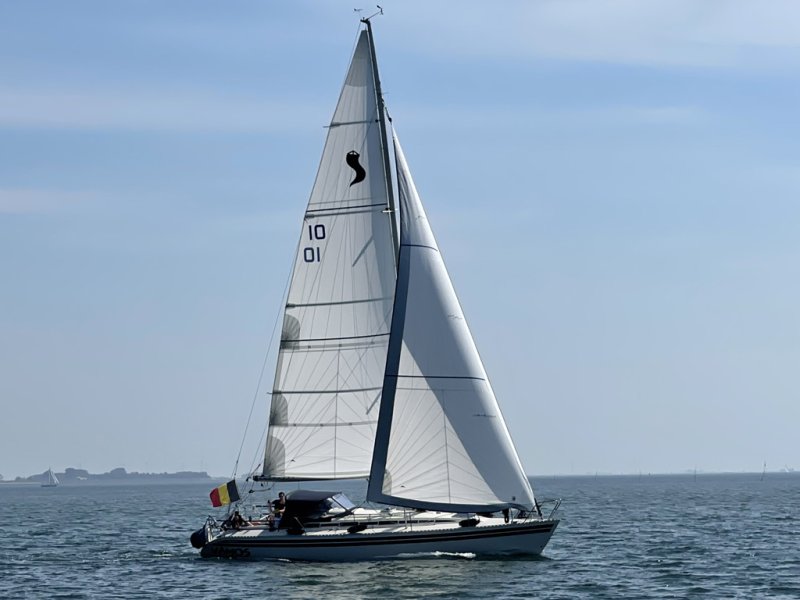 How to Choose the Best Sailcloth for Cruising Sails - Rolly Tasker Sails