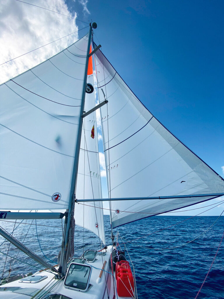 Effortless Mainsail Handling: A Guide to In-Mast Furling Systems ...